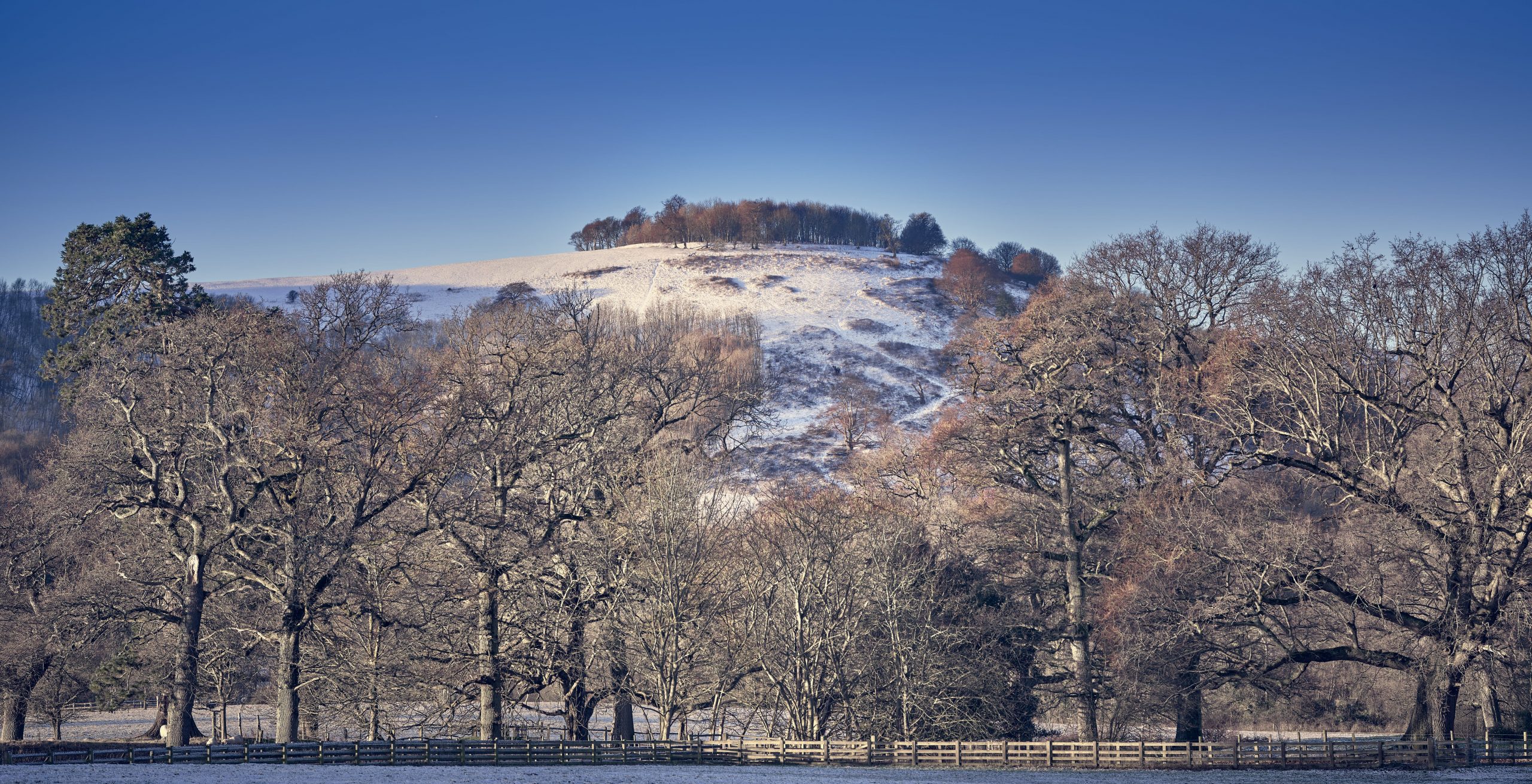 Plan your Sussex Getaway | Visit Wiston Estate