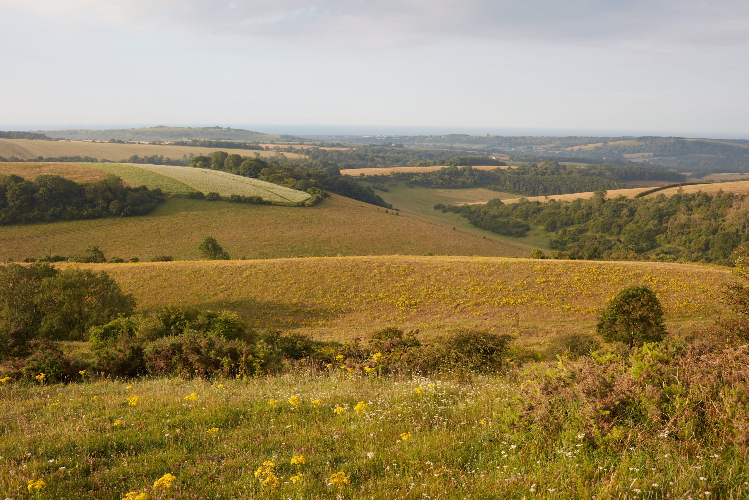 Plan your Sussex Getaway | Visit Wiston Estate