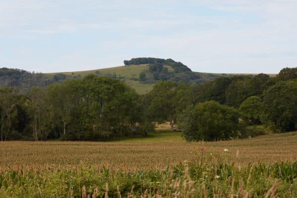 Walking Routes around Wiston Estate | Visit the South Downs