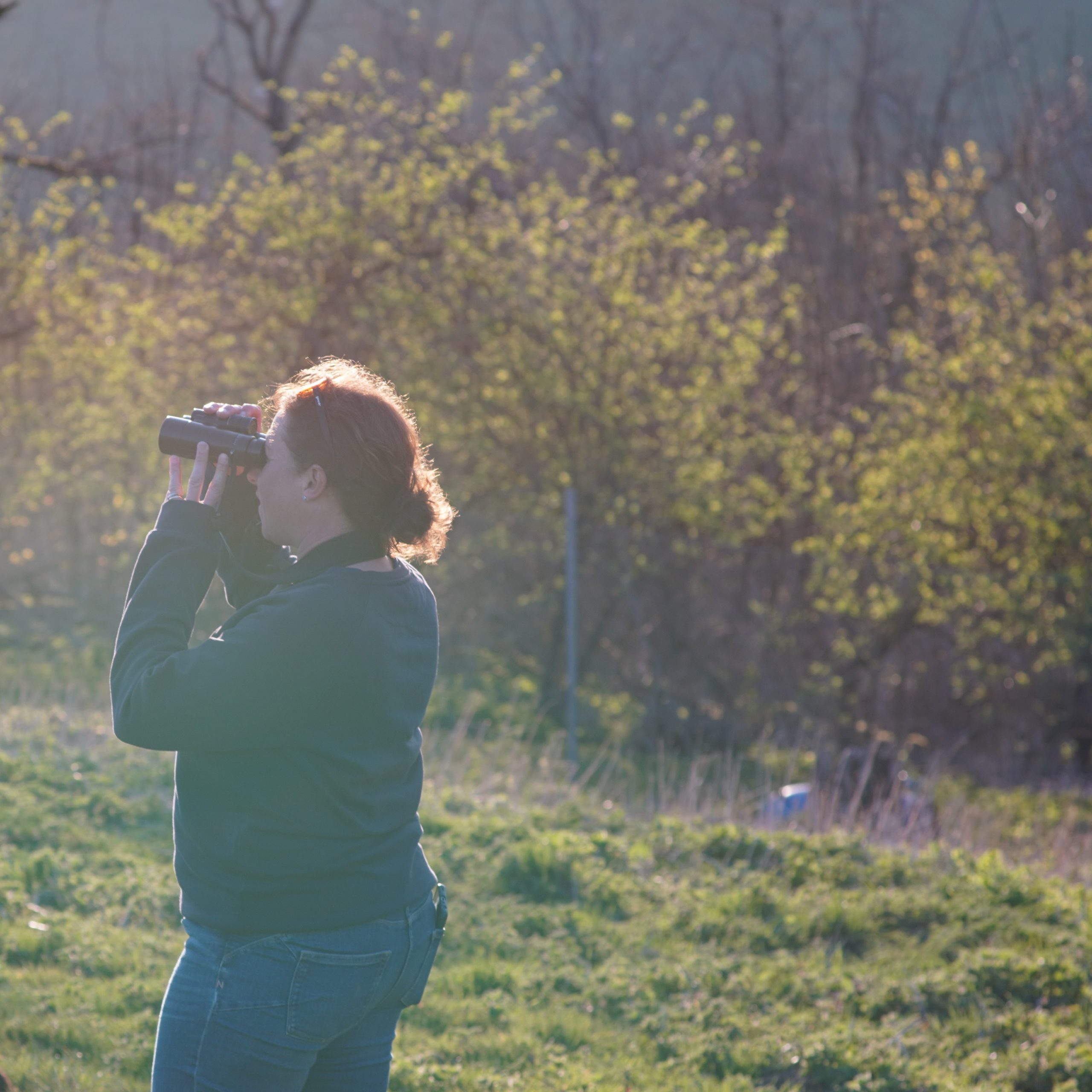 Penny Green | Wiston Estate Ecologist