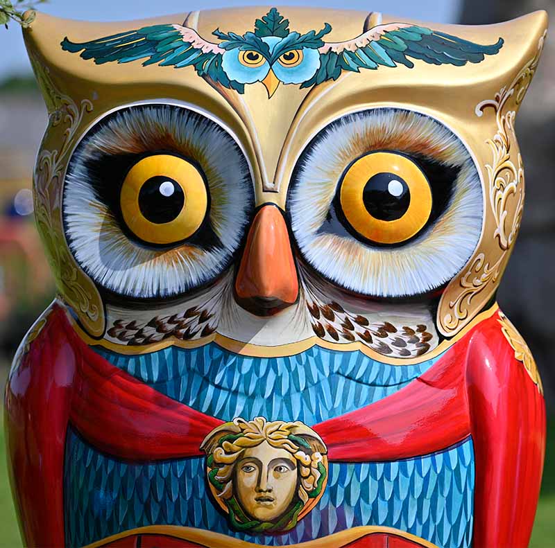 The Big Hoot is here! | Wiston Estate Journal