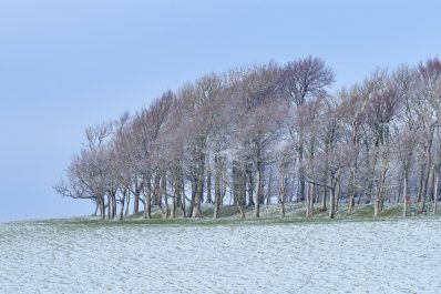 Visiting the Wiston Estate