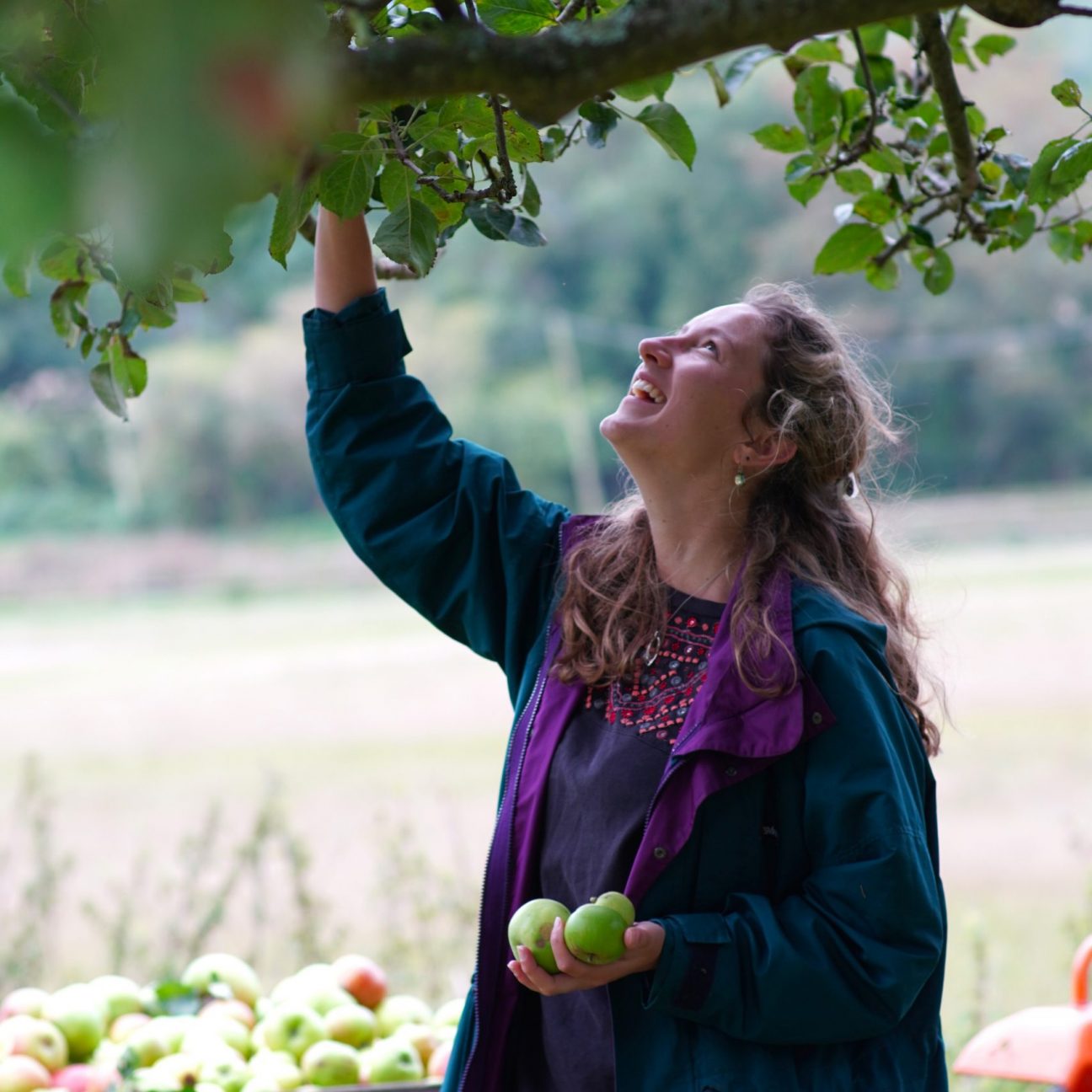 Amber Varley | Wiston Estate