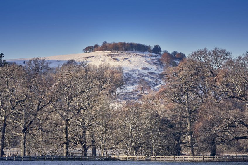 Visiting the Wiston Estate