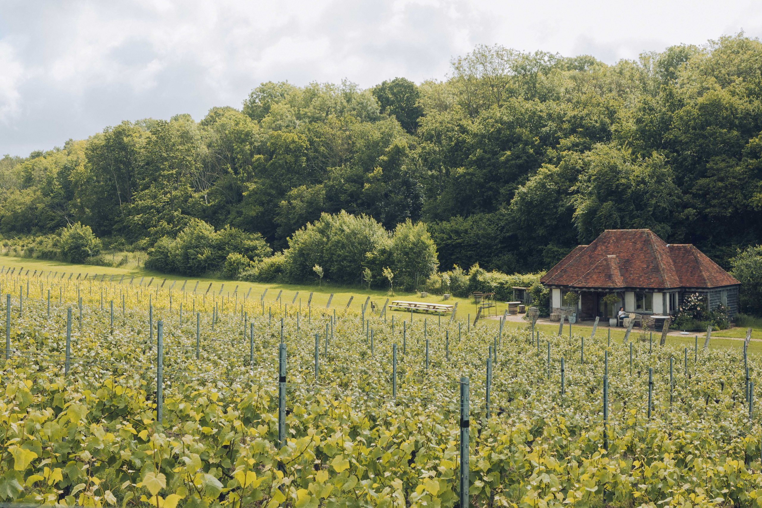 Private Event Spaces | Wiston Estate