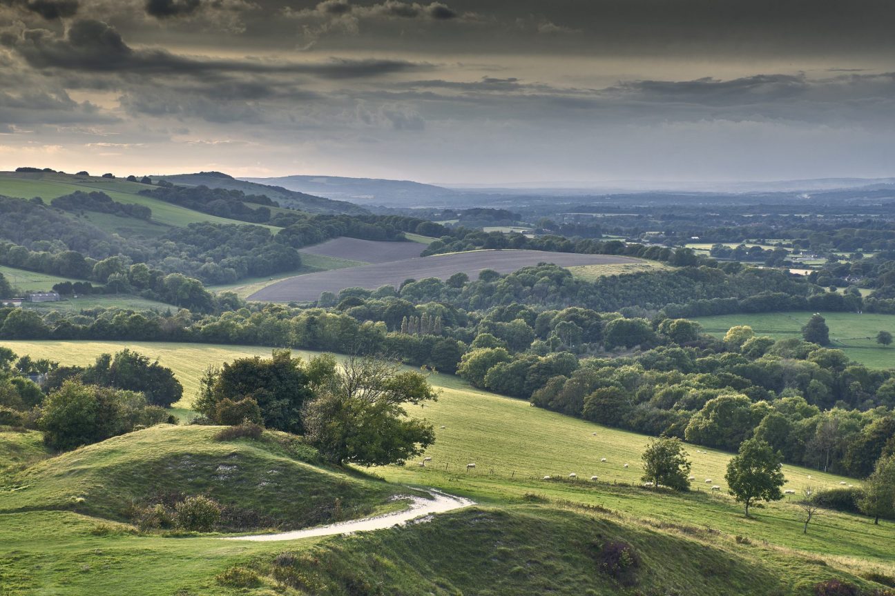 The Land | Wiston Estate