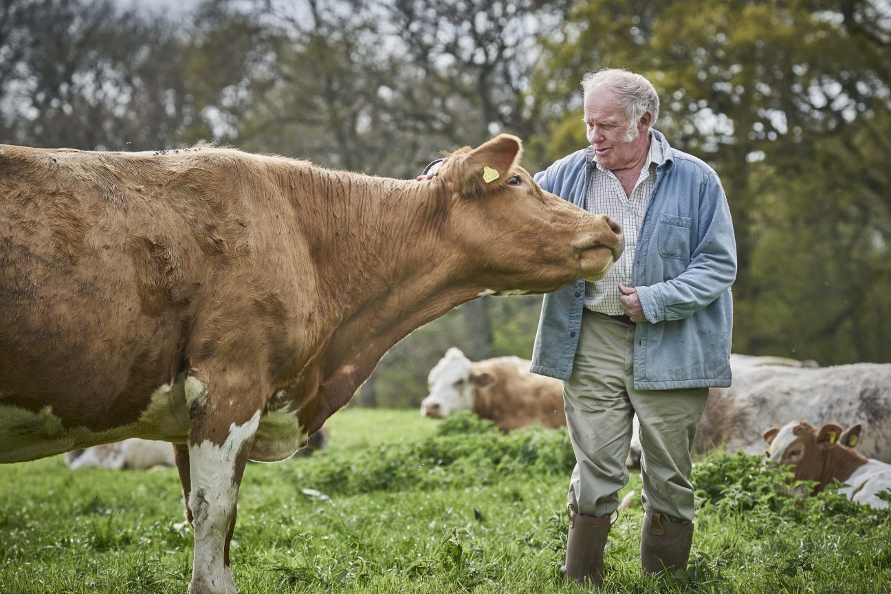 The Land | Wiston Estate