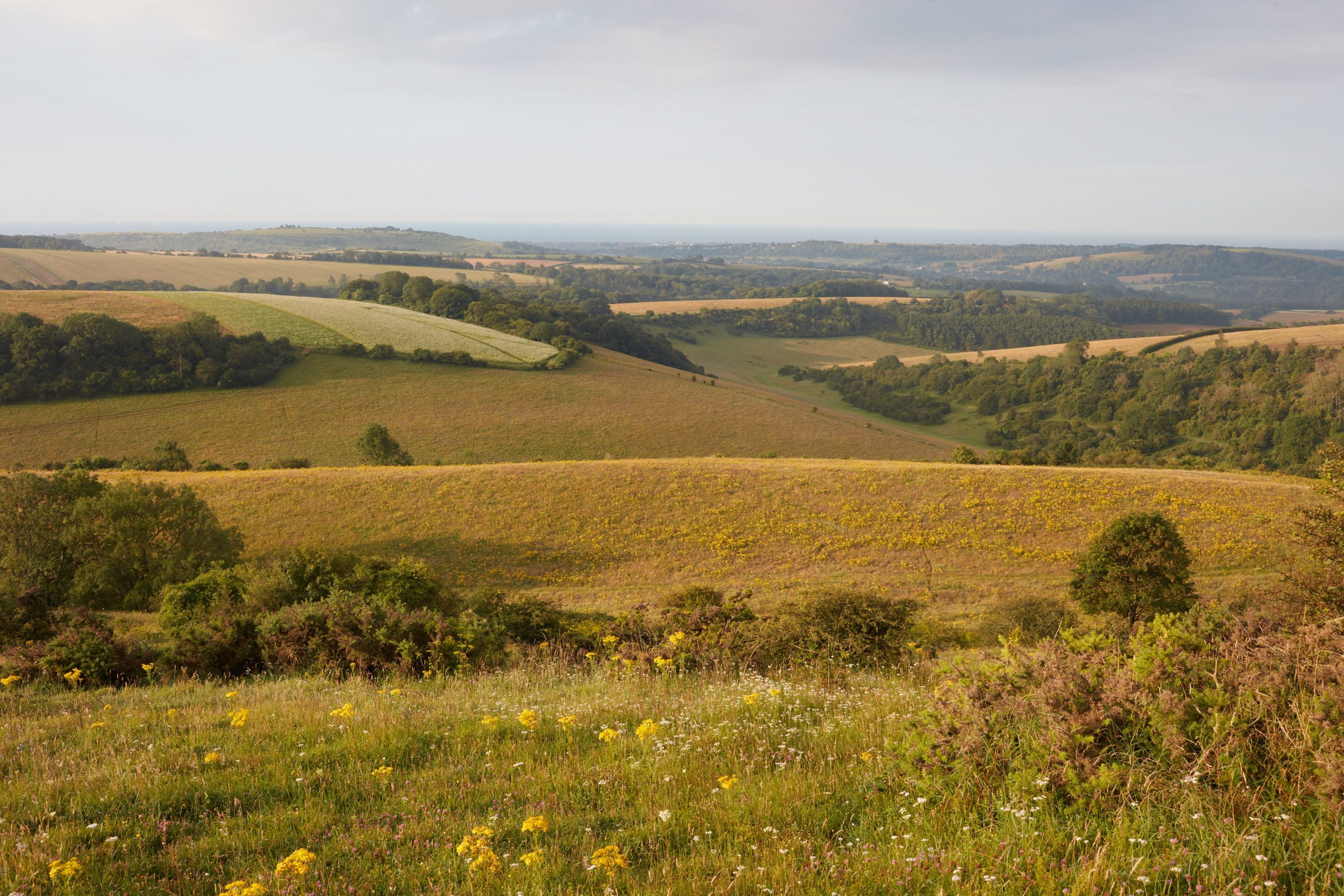 Visiting the Wiston Estate