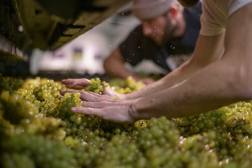 Visiting the Wiston Estate