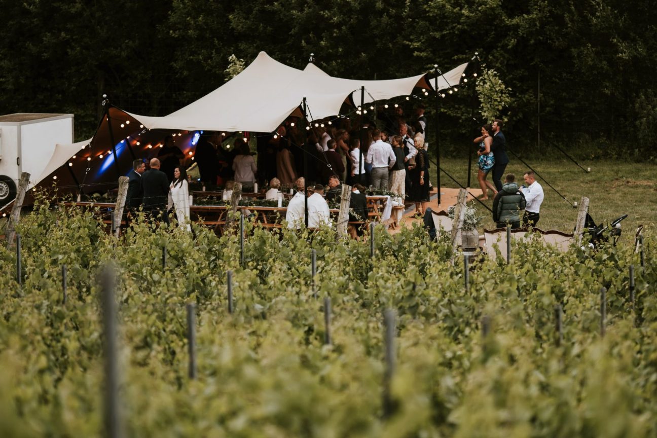 Visiting the Wiston Estate