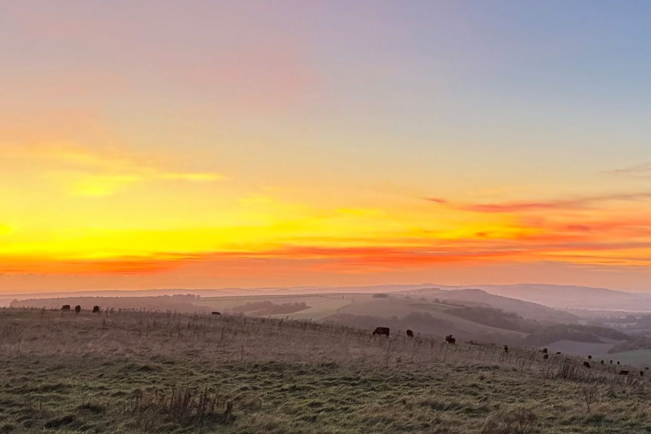 Explore Wiston Estate, home to Award-winning English Sparkling Wine