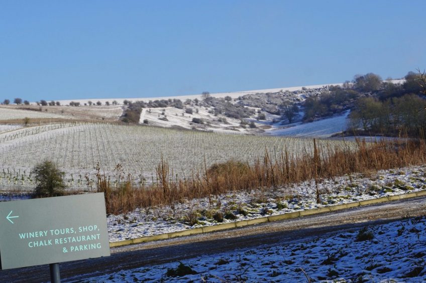 Explore Wiston Estate, home to Award-winning English Sparkling Wine