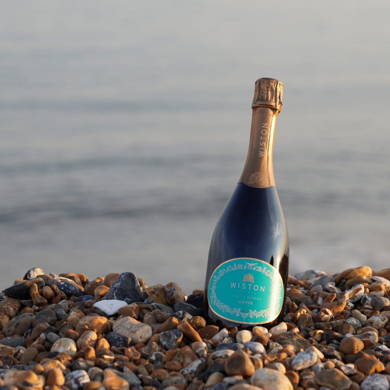 Wiston Estate Cuvee 2020 - Buy English Sparkling Wine from Wiston Estate