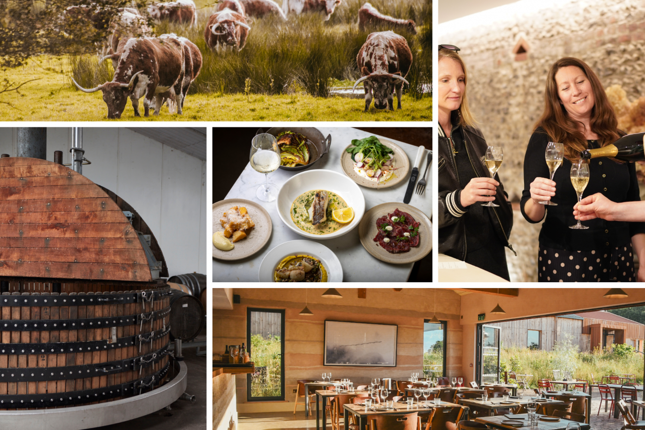 Explore Wiston Estate, home to Award-winning English Sparkling Wine