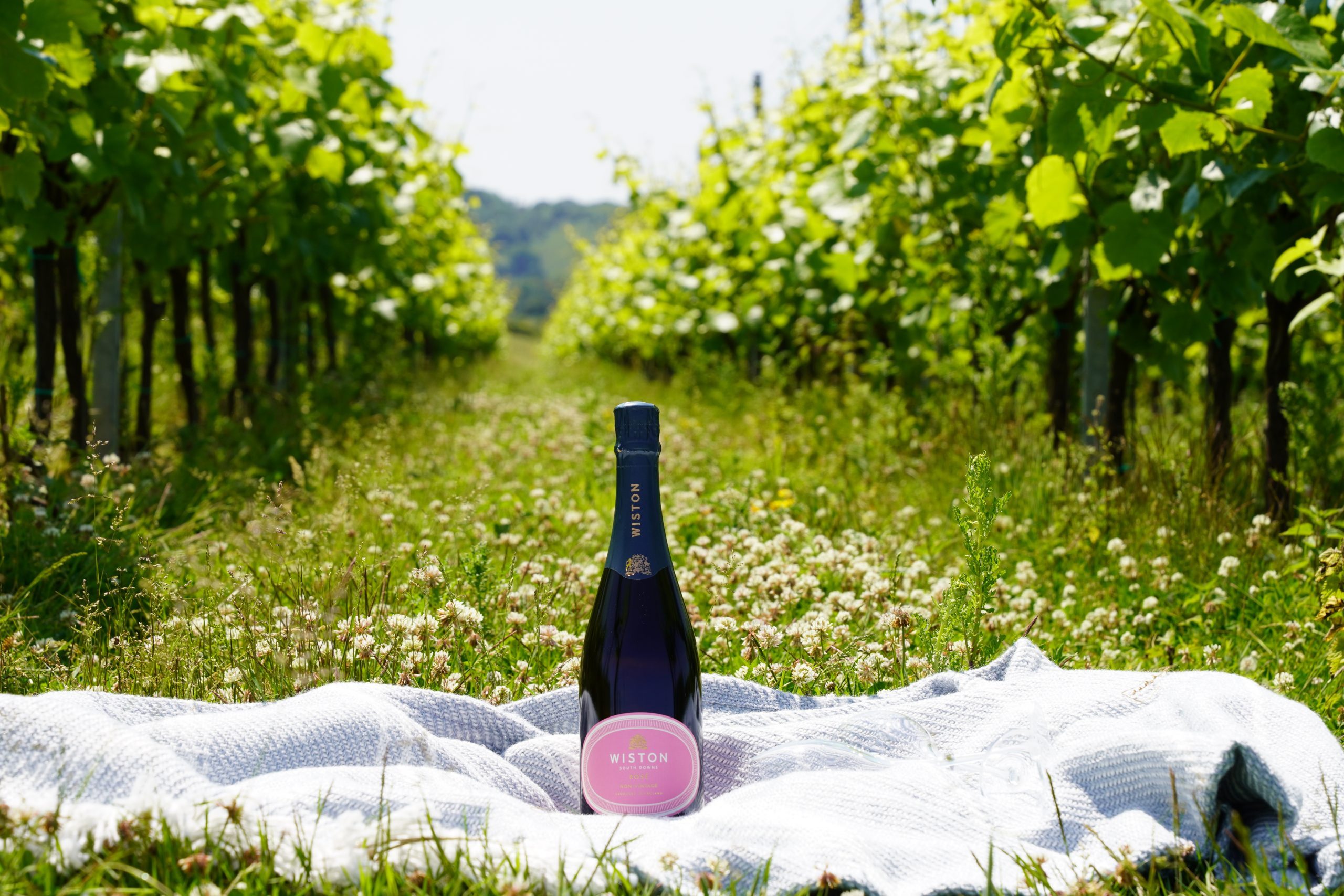 Wiston Rosé NV - Buy Award-winning English Sparkling Rose