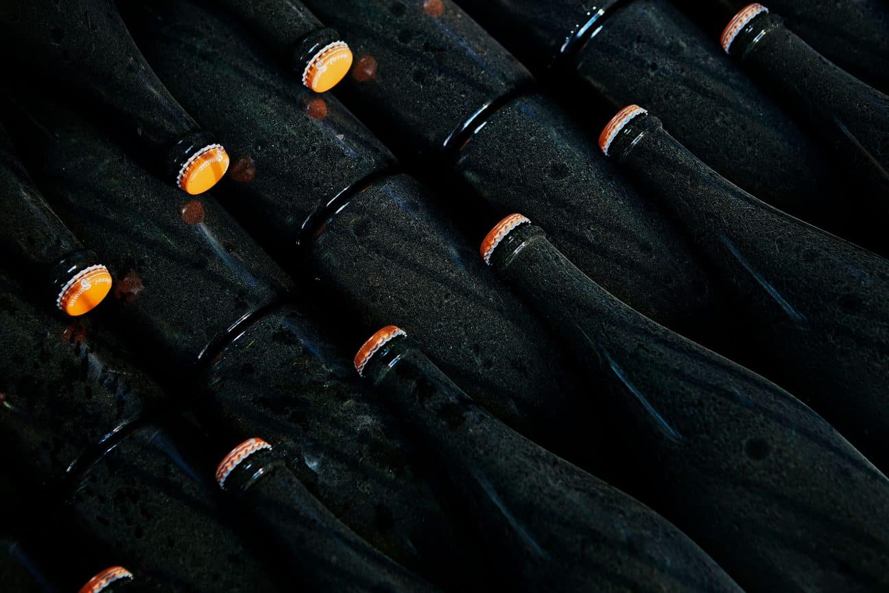 The 'Wiston' Tour & Tasting | Buy English Sparkling Wine | Wiston Estate