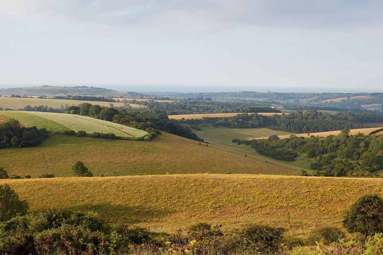 Sustainability at Wiston Estate | South Downs