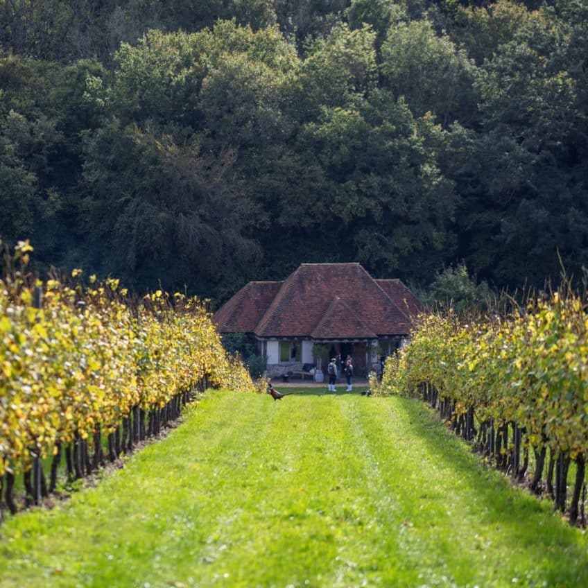 Products | Wiston Estate