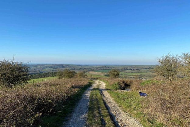 Visiting the Wiston Estate