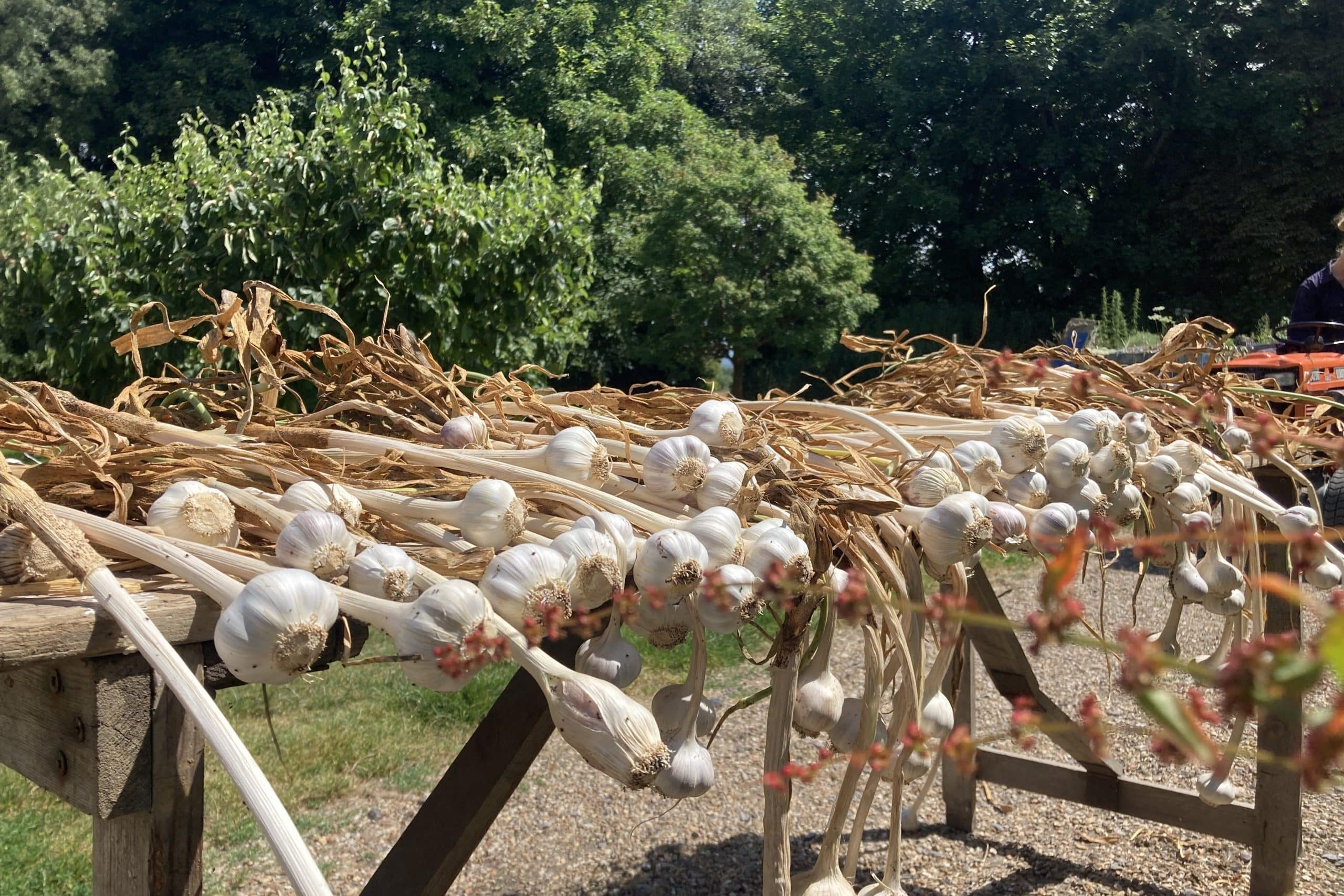 Wiston Estate | Award-winning Sparkling Wines